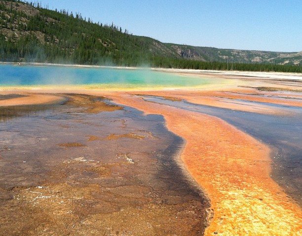 defrocked | like color